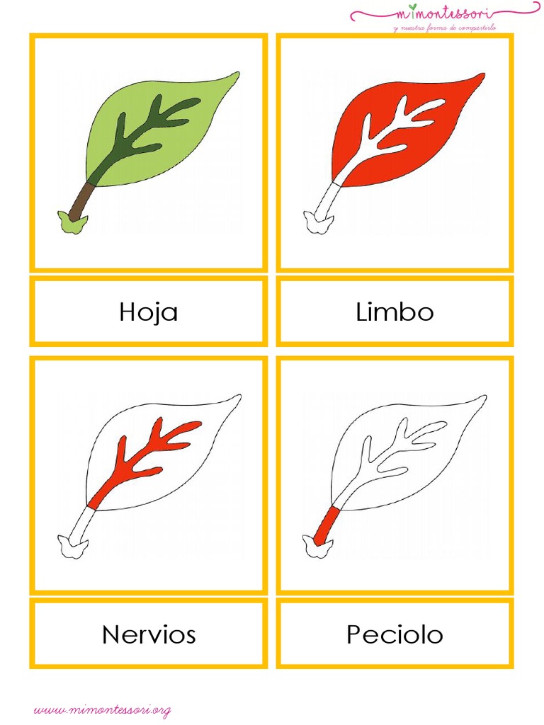 Partes de La Hoja Letra Imprenta | PDF