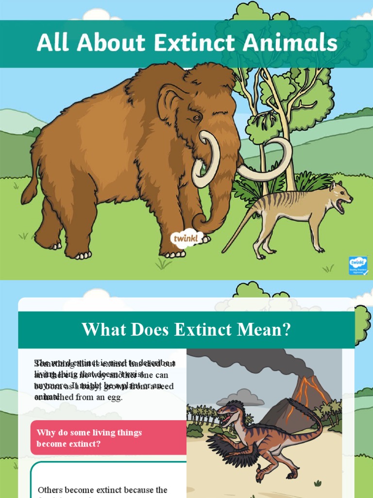 T TP 7037 Ks1 All About Extinct Animals Powerpoint Ver 1 | PDF ...