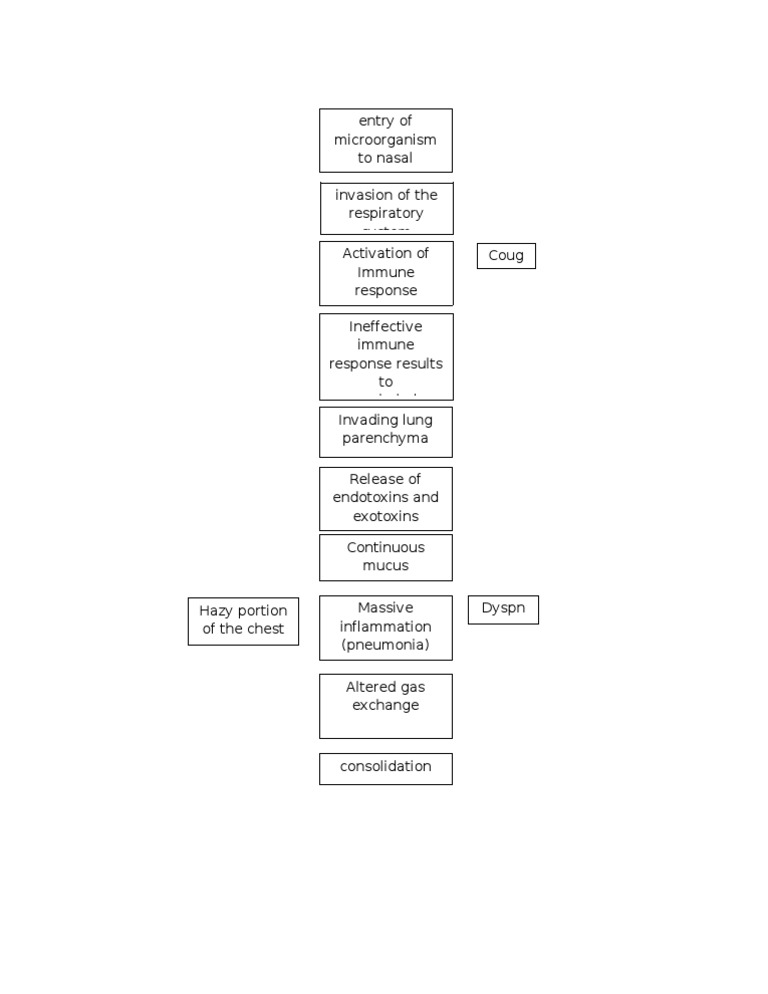 Pathophysiology of Pneumonia