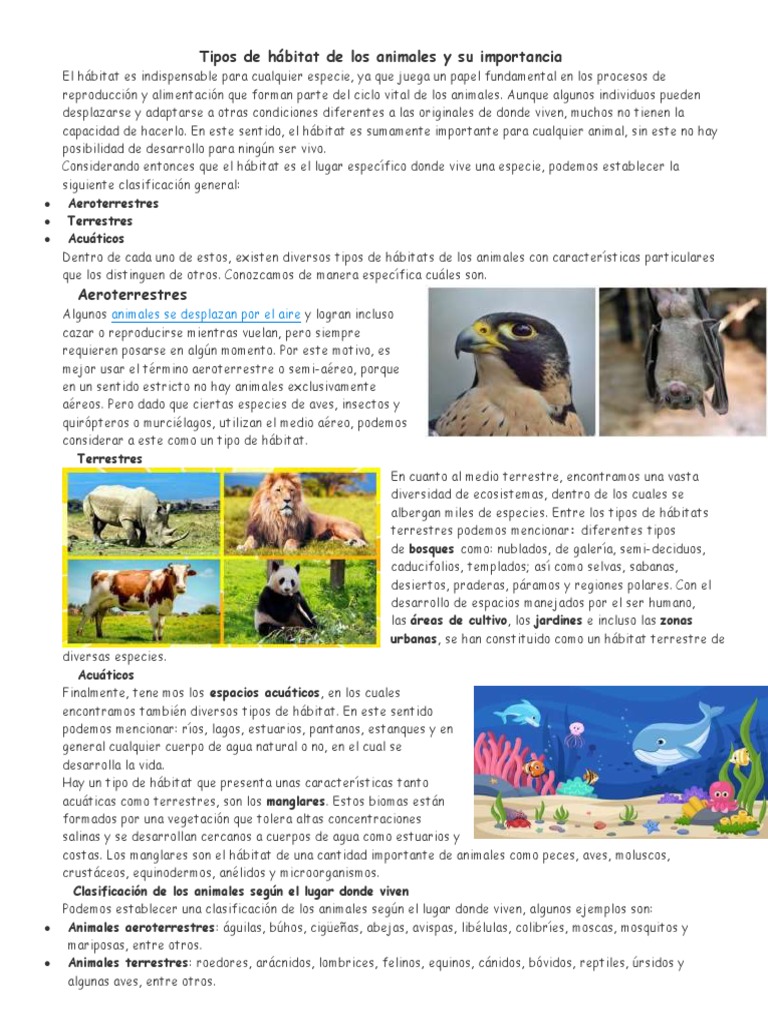 Tipos de Hábitat de Los Animales y Su Importancia | PDF | Habitat ...