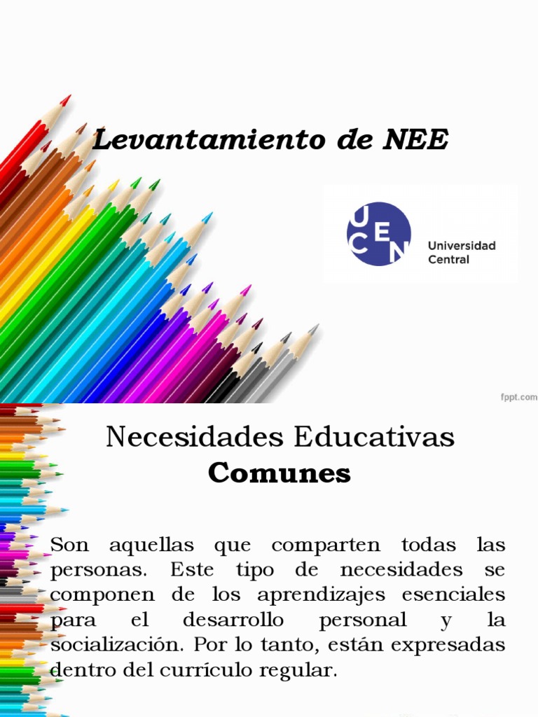 Redaccion de NEE | PDF | Aprendizaje | Plan de estudios