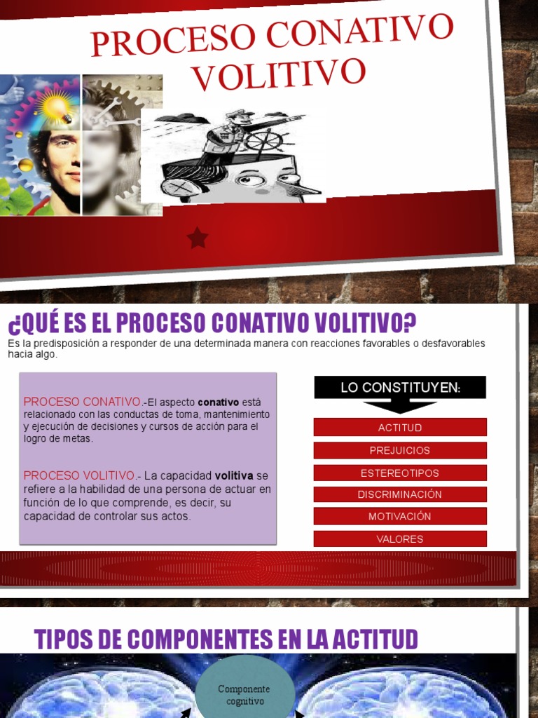 Proceso Conativo Volitivo | PDF | Discriminación | Motivacional