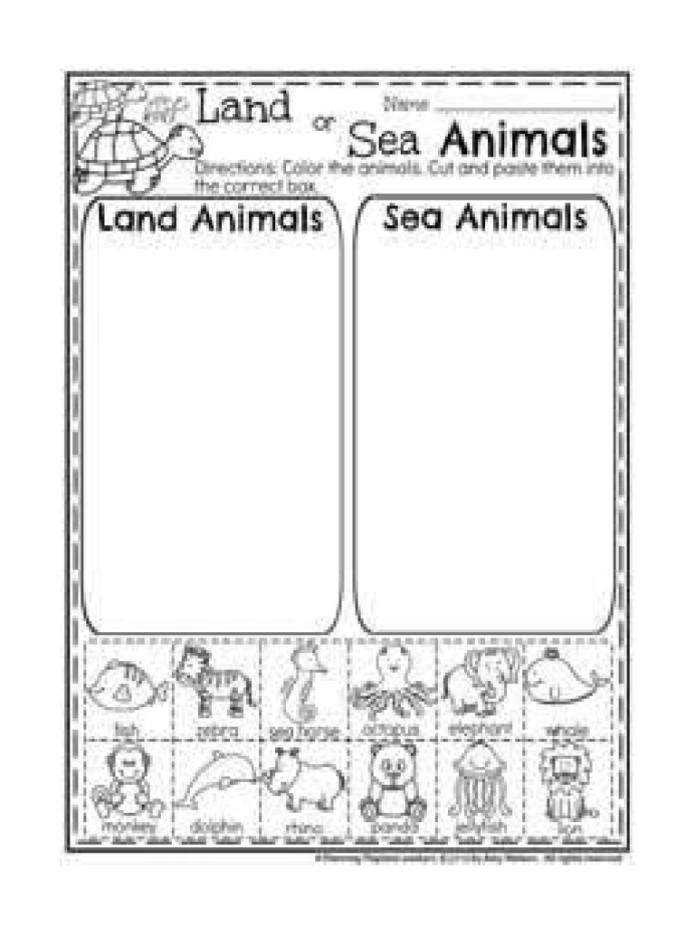 land animal and water animal | PDF
