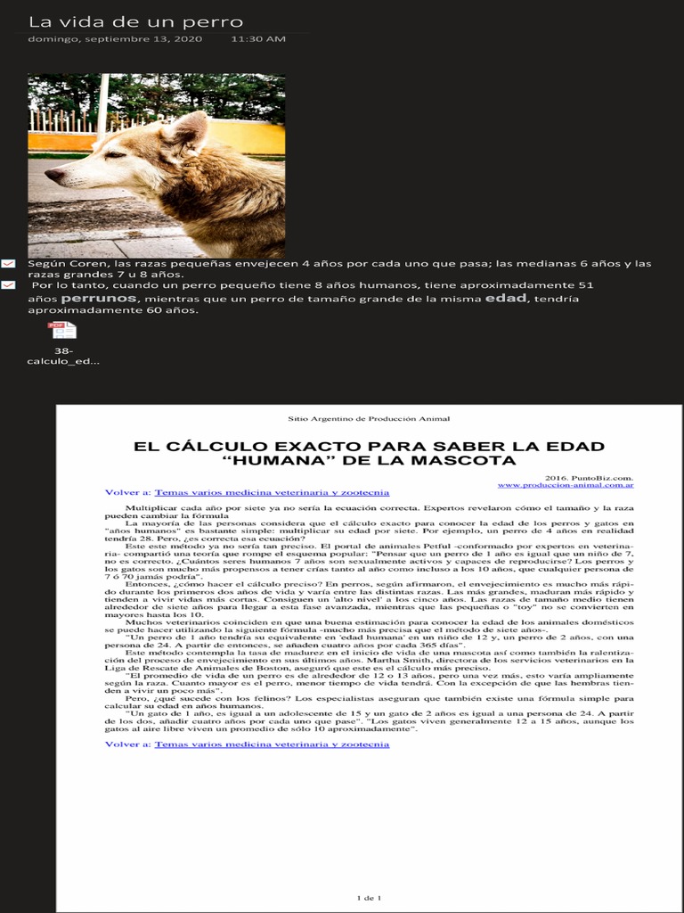 La Vida de Un Perro | PDF