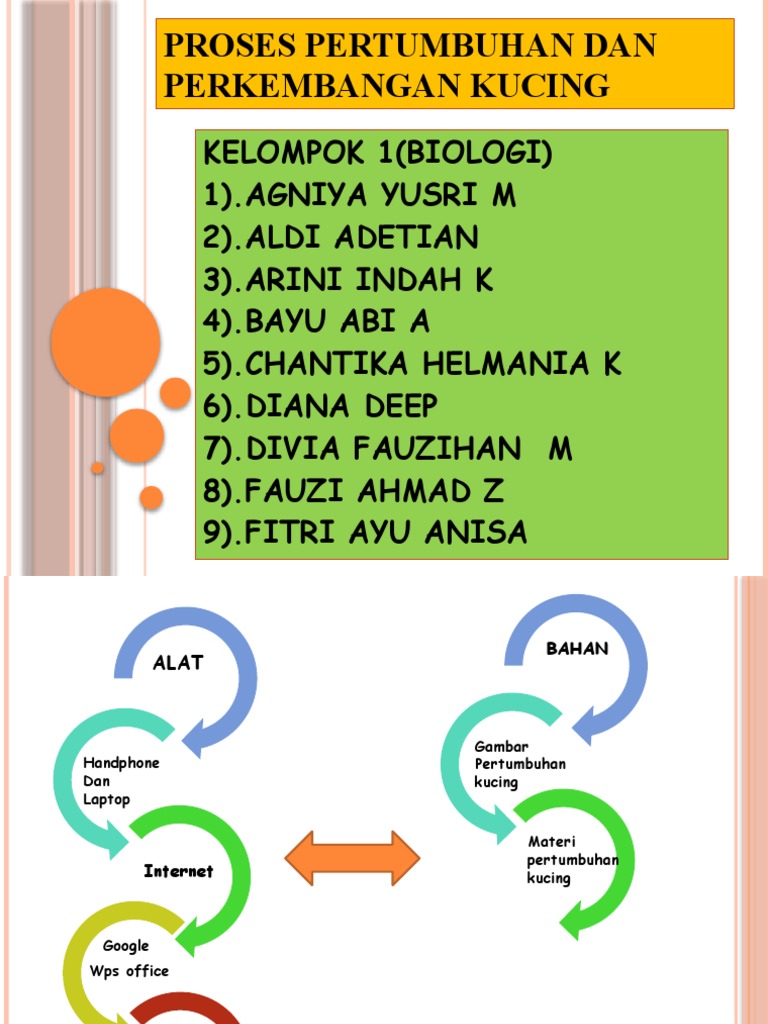 Pertumbuhan Dan Perkembangan Kucing-1 | PDF