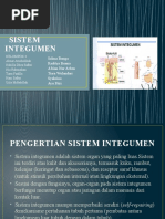 Anatomi Sistem Integumen | PDF