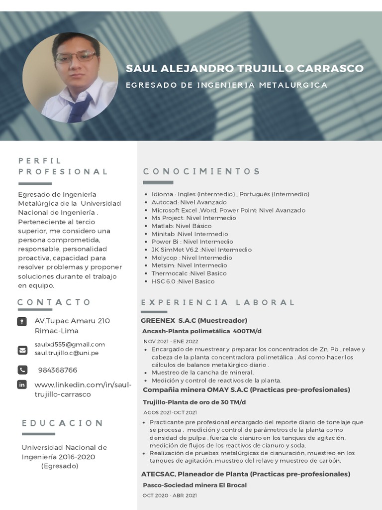 CV Saul Trujillo - MET | PDF