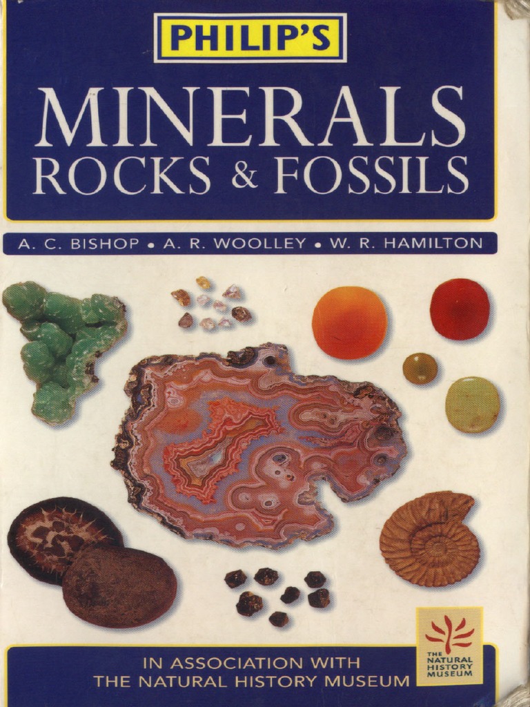 Minerals, Rocks and Fossils 1 - Bishop | PDF