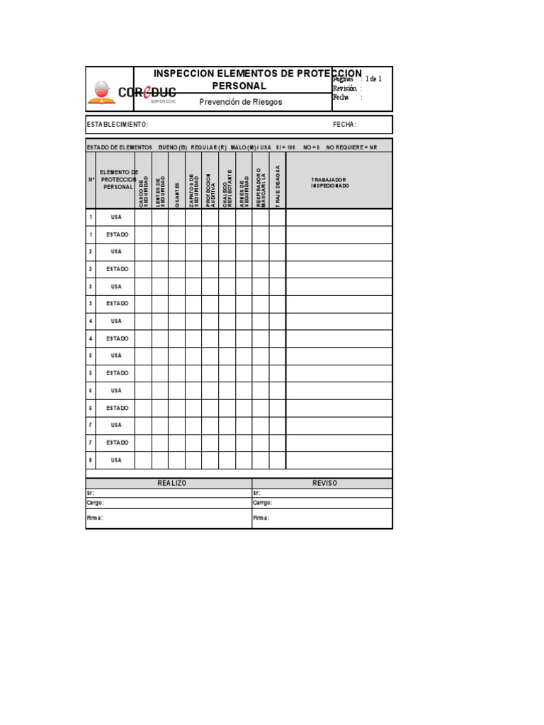 6.formato Inspeccion EPP | PDF
