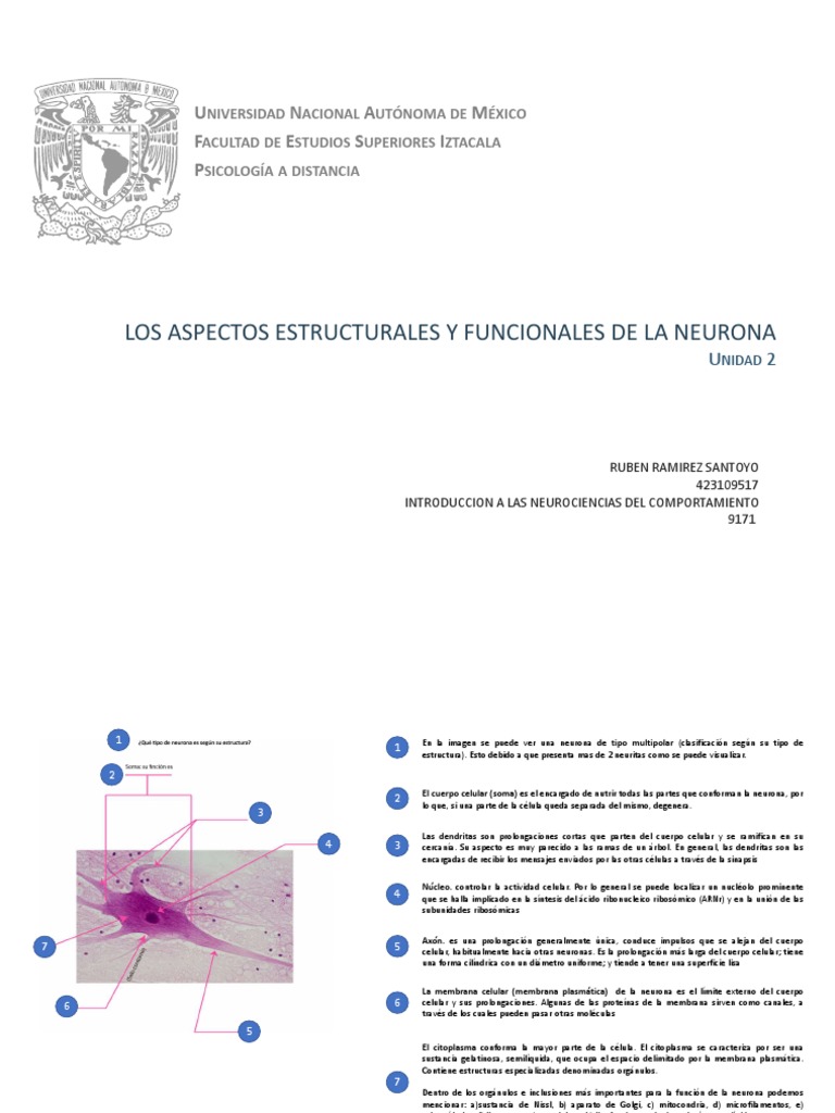 Actividad 2 - Ejercicio Ramirez Ruben | PDF