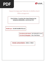 Rapport PFE Gestion Des Risques 2021 | PDF | Risque | Gestion des risques