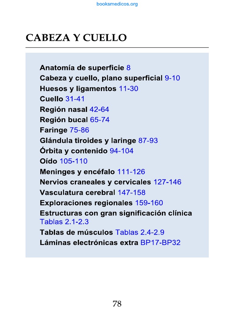 Netter Cabeza y Cuello | PDF