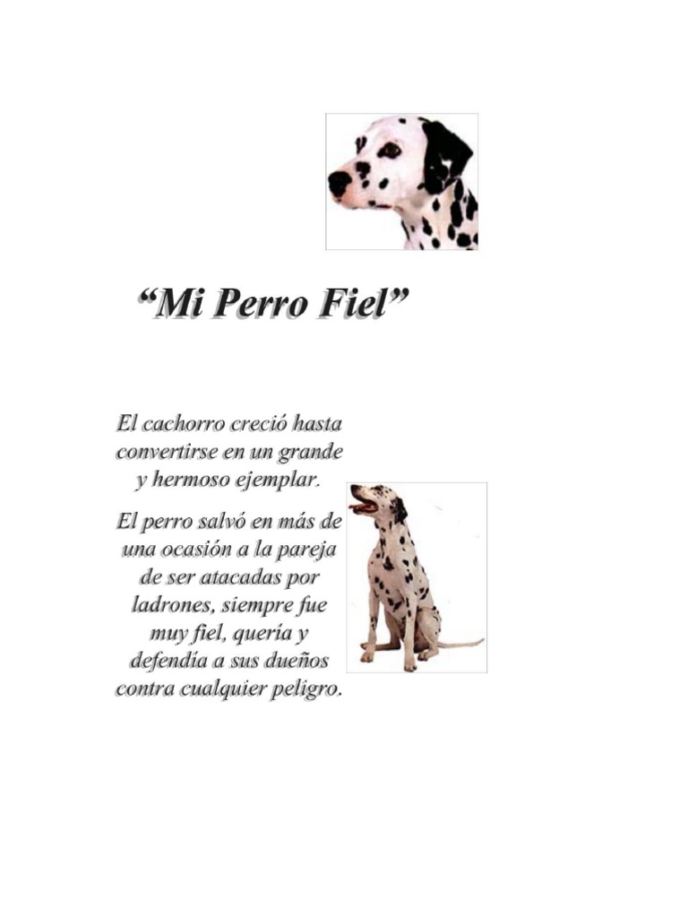 Mi Perro Fiel | PDF
