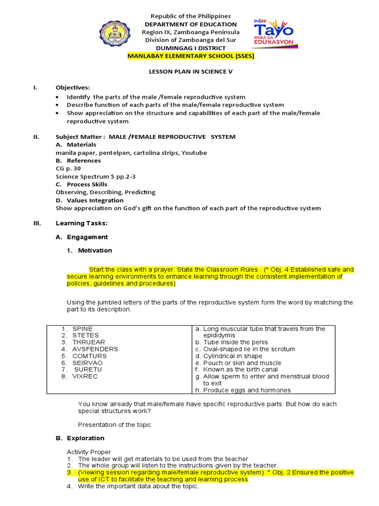 Female Reproductive System2 | PDF | Reproductive System | Sexual Anatomy