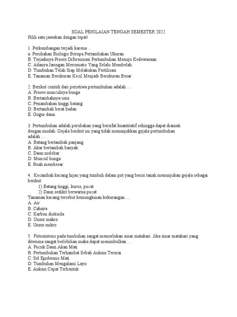 Template SOAL PENILAIAN TENGAH SEMESTER 2022 | PDF