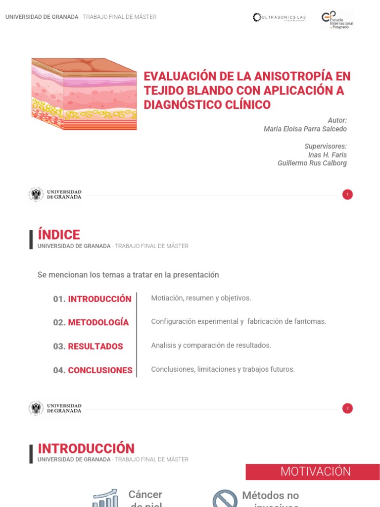 Evaluación de La Anisotropía de Un Tejido Blando | PDF | Olas | Viscosidad