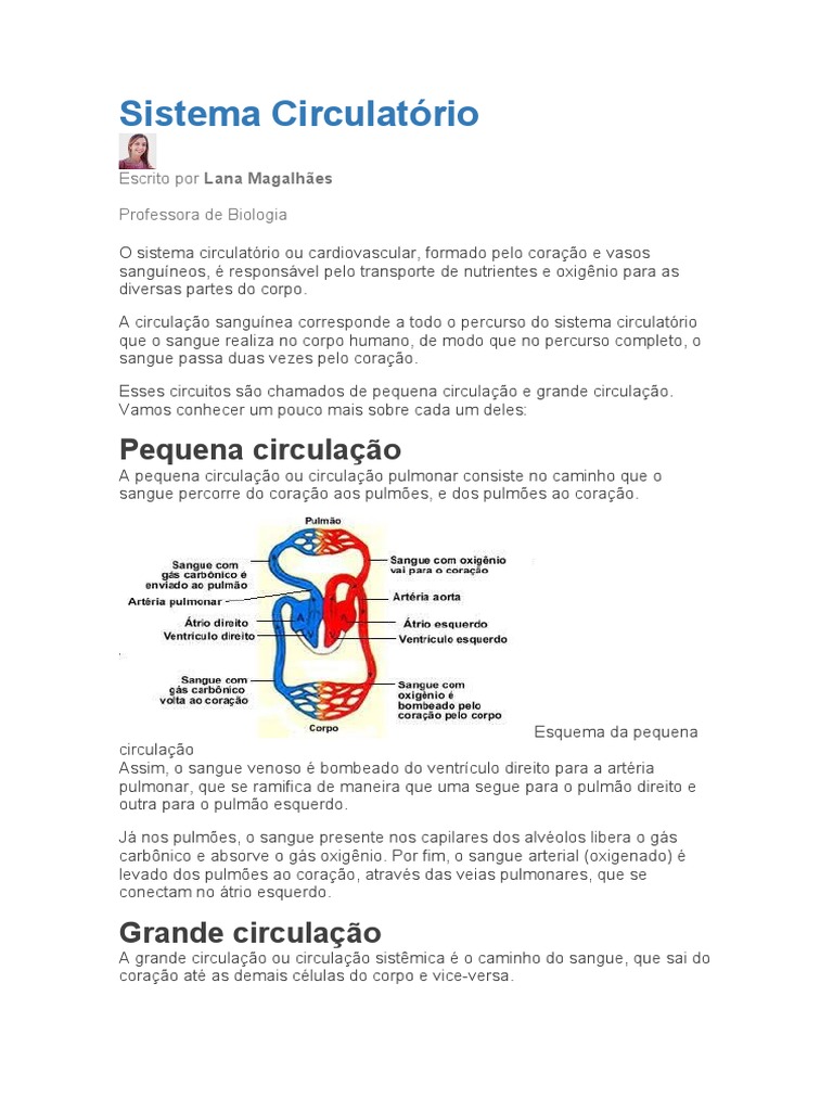 O Funcionamento do Sistema Circulatório: Uma Explanação Detalhada dos ...