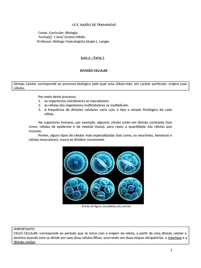 Aula 4 Parte1 Biologia 1 Ano Em Pdf Mitose Célula Biologia