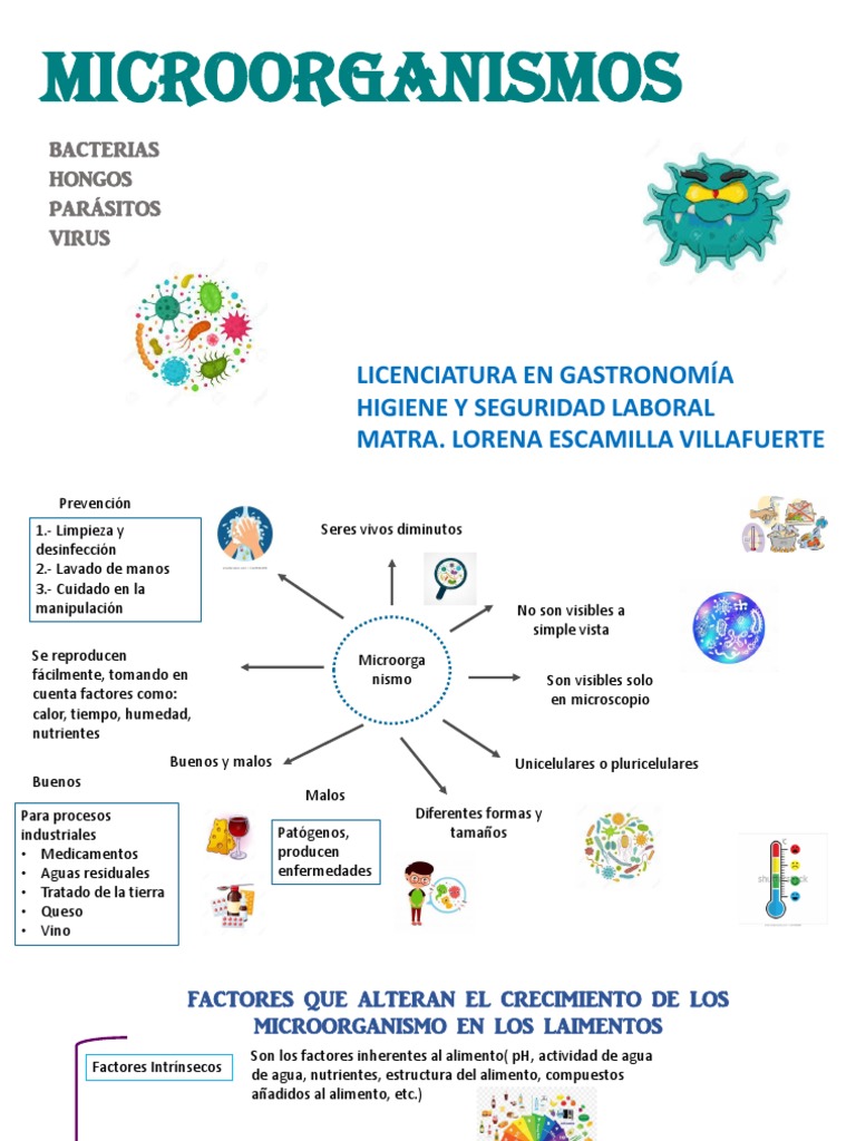 MICROORGANISMOS | PDF | Hongo | Las bacterias
