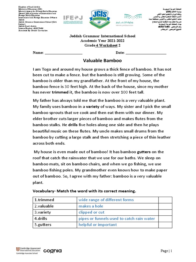 Comprehension Lesson | PDF | Bamboo