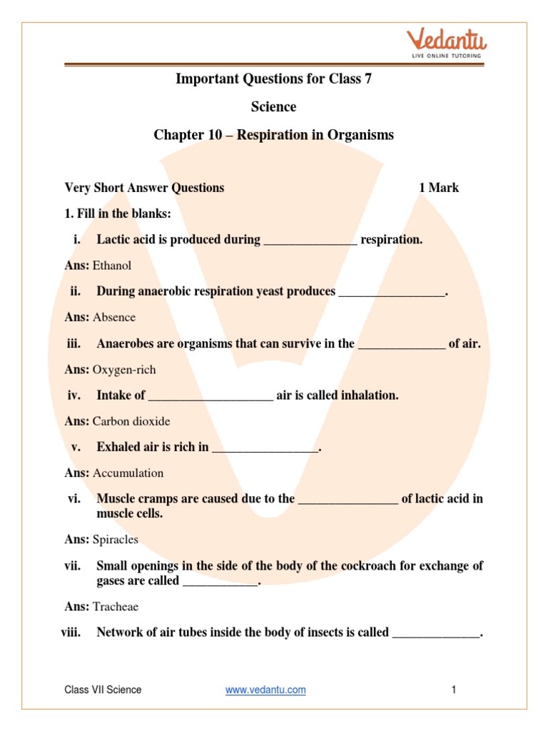 Class 7 Science: Respiration Questions | PDF | Respiratory System ...