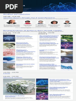 Abyip 2022 With Reference Codes | PDF | Change | Environment