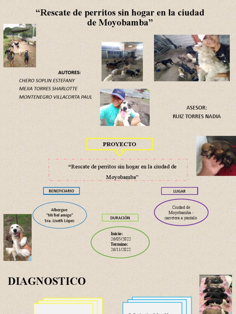 Tutoria Rescate de Perritos | PDF