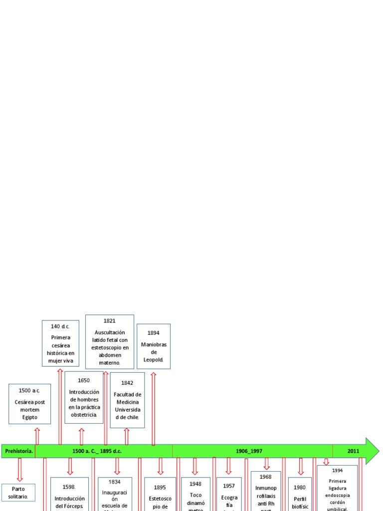 22111111111 | PDF | Parto | Medicina