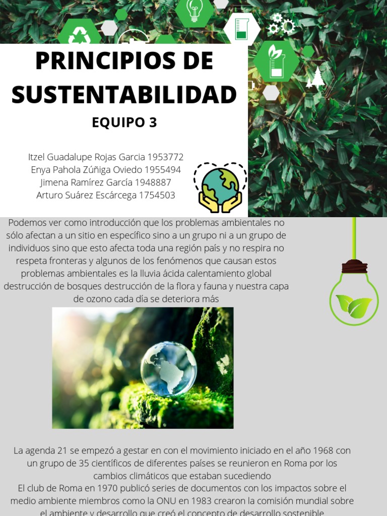 Equipo 3 Principios de Sustentabilidad | Download grátis PDF | Desarrollo sostenible ...