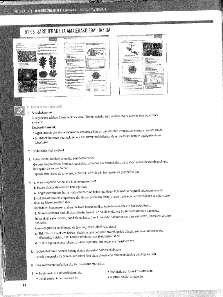 Bio Geo 1 Batx. | PDF
