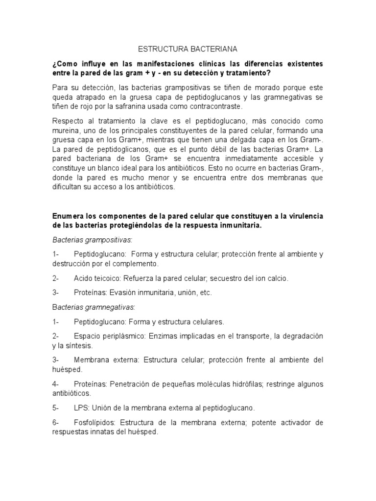 Diferencias en Paredes Bacterianas Gram+ y Gram- | PDF | Bacterias Gram ...