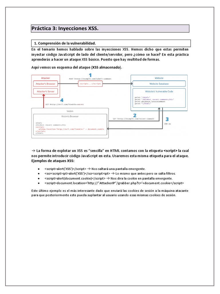 Practica 3 Inyeccion XSS | PDF | Cookie HTTP | Script Java
