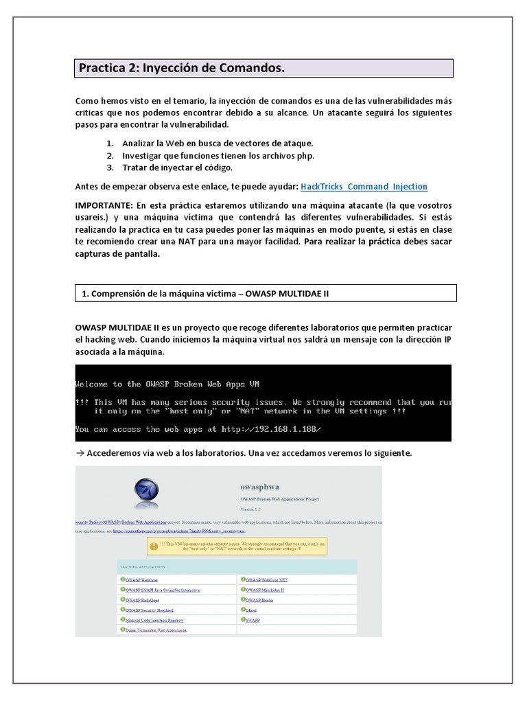 Practica 2 Inyeccion de Comandos | PDF