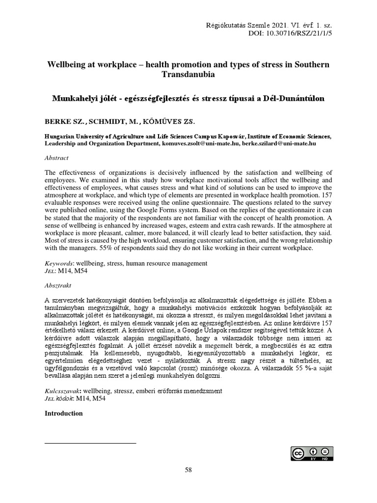 Wellbeing at Workplace Berke Szilárd Kőműves Zsolt | PDF