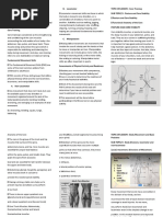 Movement Competency Training 1st Year 1st Semester | PDF | Pelvis | Abdomen