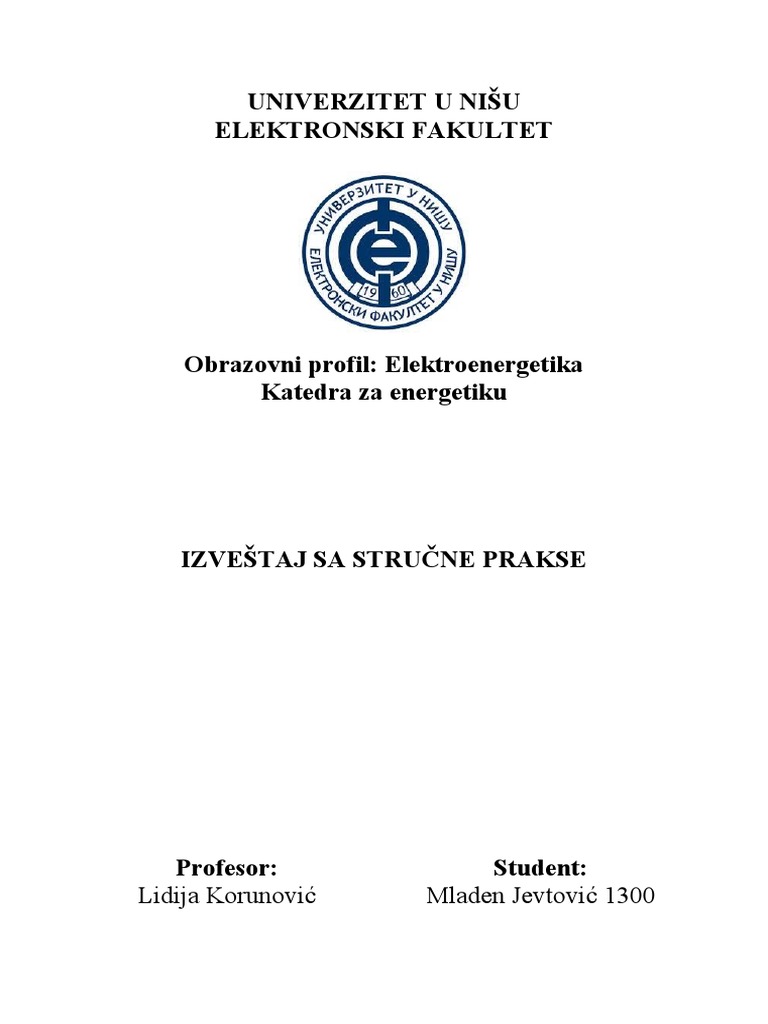 Strucna Praksa - Mladen Jevtovic | PDF