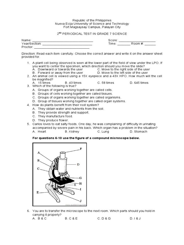 Grade 7 PT 2018-2019 | PDF