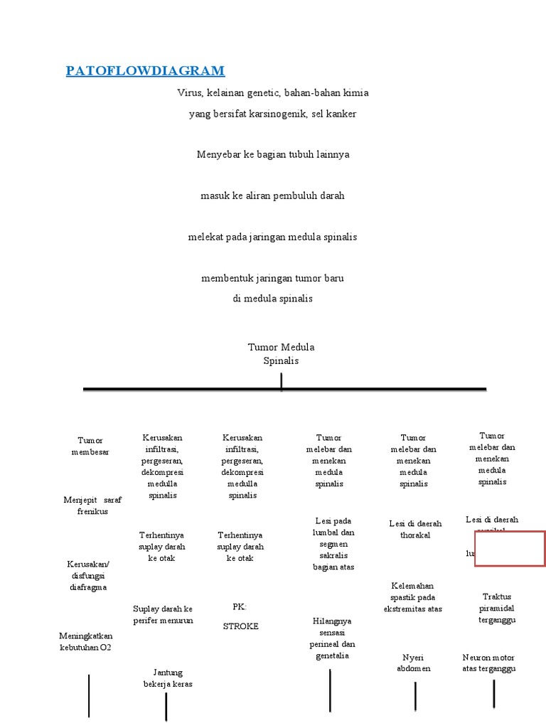 Woc Tumor Medspin | PDF
