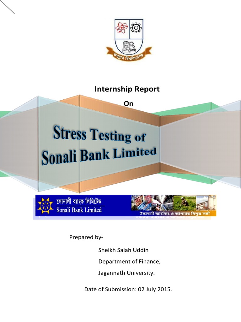 Stress Testing of SBL, Word | PDF | Finance & Money Management | Credit