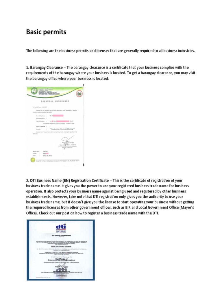 Basic and Special Permits | PDF | Economies | Business