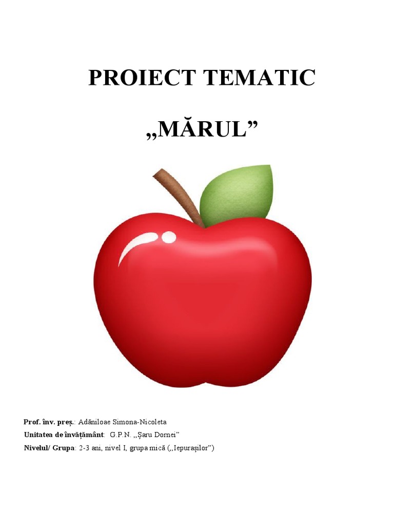 Proiect Tematic | PDF