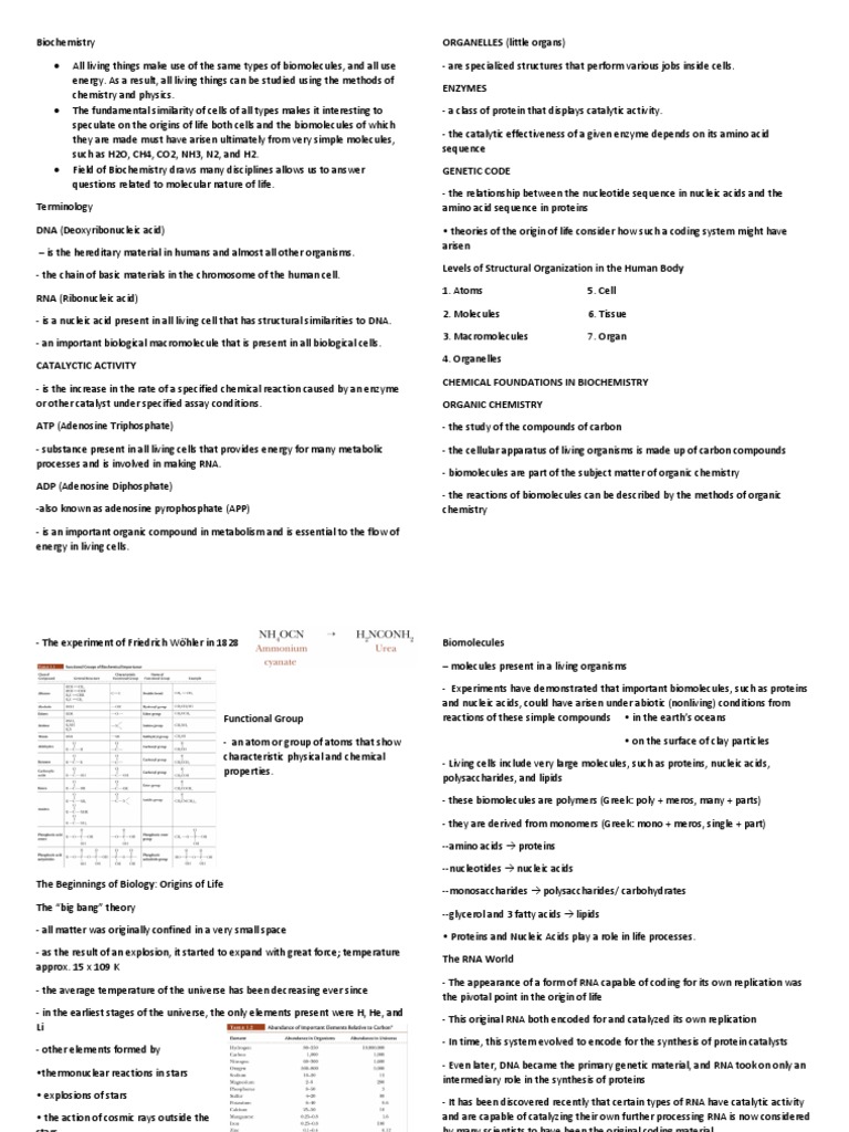 Biochem | PDF | Nucleotides | Ph