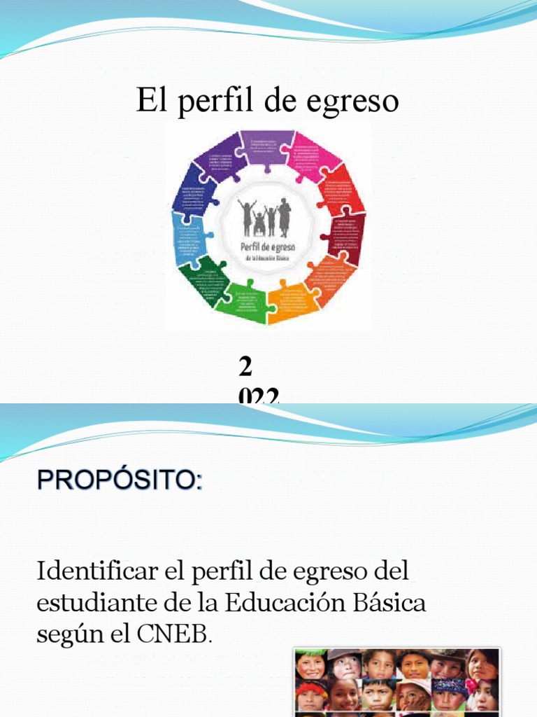 Perfil de Egreso | PDF | Aprendizaje | Ciencia cognitiva
