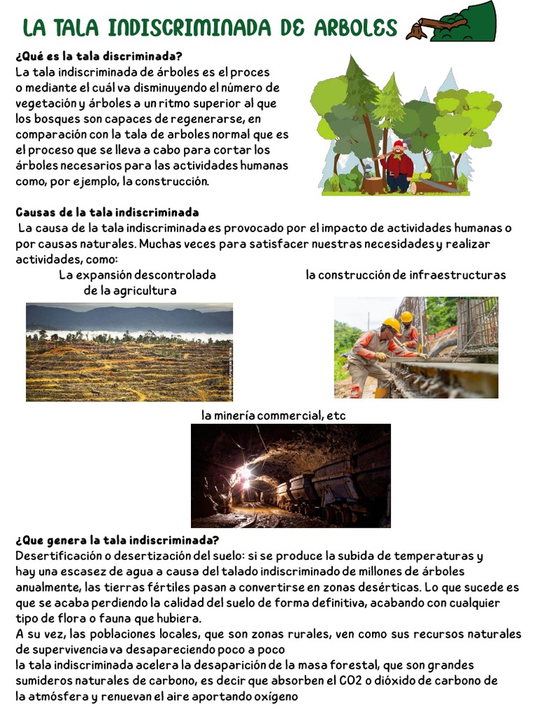 Tala Indiscriminada y Tala Ilegal de Mader DPCC 4E - Grupo 4 | PDF