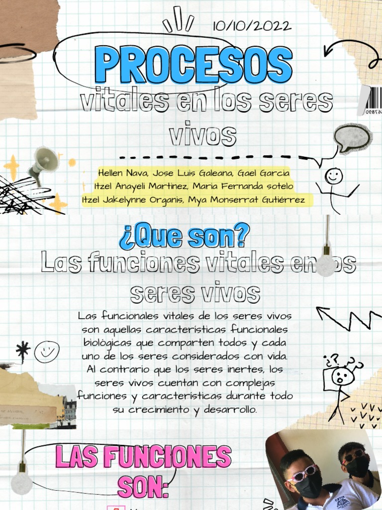 Presentación - Procesos Vitales | PDF | Organismos | Nutrición