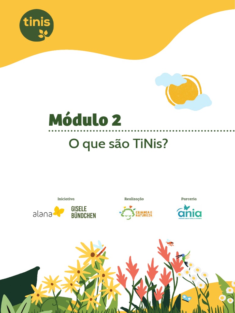 TiNis - Modulo 2 - O Que Sao TiNis e Suas Possibilidades | Download ...