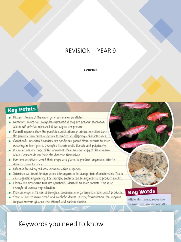 REVISION - YEAR 9 - Genetics PDF | PDF | Science & Mathematics