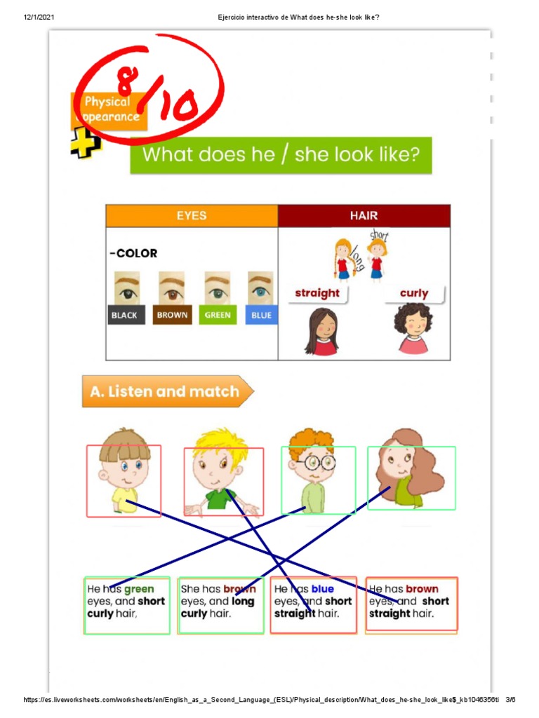Ejercicio Interactivo de What Does He-She Look Like | PDF | Wellness