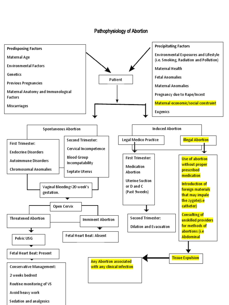 Pathophysiology of Abortion Case Study (Vizconde, Ehreiz Raiden C. BSN2 ...