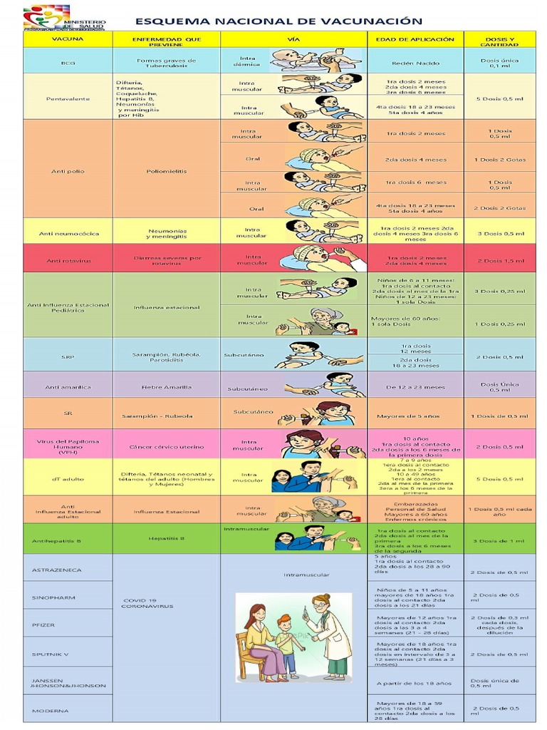 Pai Actualizado | PDF
